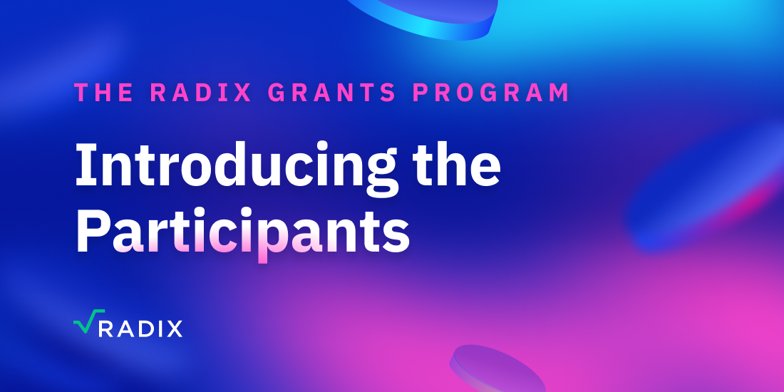The Radix Grants Program: Introducing the Participants | The Radix Blog | Radix DLT